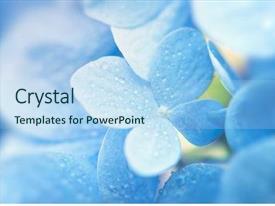 Premium Template for PowerPoint & Google Slides (nmlunninh)