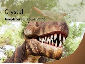 Premium Template for PowerPoint & Google Slides (jjojiiiim)