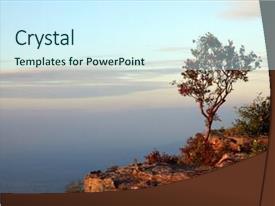 Lonely Tree With Beautiful Sunset PPT template 80 | CrystalGraphics