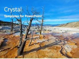 Premium Template for PowerPoint & Google Slides (ipuolhuojp)