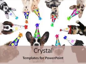 Premium Template for PowerPoint & Google Slides (nkiimouom)