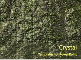 Noro Sheet Of Dried Green Nori PPT template 90 | CrystalGraphics