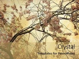 Old Flower Paper Textures Perfect PPT template 47 | CrystalGraphics