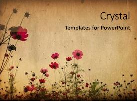 Old Flower Paper Textures Perfect PPT template 79 | CrystalGraphics