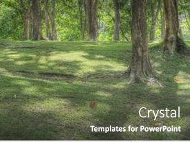 Parkland Style Wood In Northern PPT template 13 | CrystalGraphics