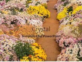Path Leading Through A Collection PPT template 71 | CrystalGraphics