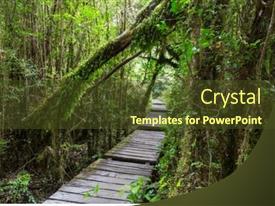 Pathway In The Green Rain PPT template 57 | CrystalGraphics