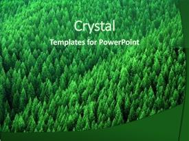 Forest Pine Trees In Wilderness PPT template 21 | CrystalGraphics