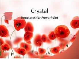 Premium Template for PowerPoint & Google Slides (pkmkkmmm)