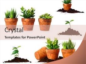 Pot Leaf Spring Gardening PPT template 98 | CrystalGraphics