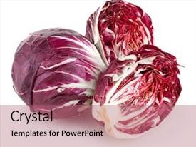 Red Cabbage Radiccio Isolated PPT template 51 | CrystalGraphics