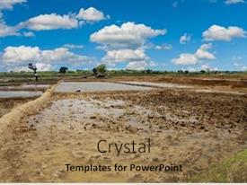 Rice Field Is Getting Ready PPT template 20 | CrystalGraphics