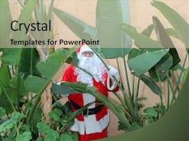 Santa Claus Hides Behind Bird PPT template 51 | CrystalGraphics