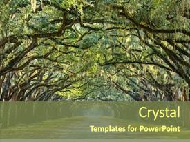 Southern Savannah Georgia Usa Oak PPT template 37 | CrystalGraphics