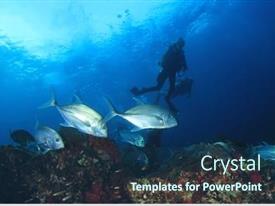 Scuba Dive Underwater Coral Reef PPT template 46 | CrystalGraphics