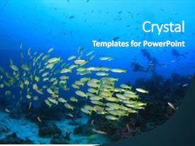 Scuba Divers Explore Coral Reef PPT template 9 | CrystalGraphics