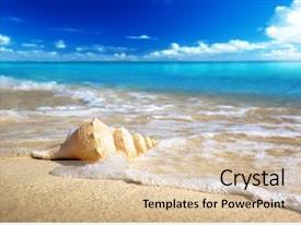 Premium Template for PowerPoint & Google Slides (pjouokok)