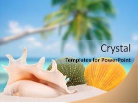 Premium Template for PowerPoint & Google Slides (ihhkknuuo)