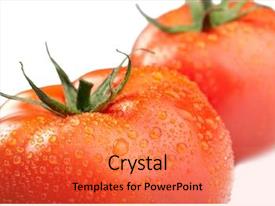 Simple Bachground Light Colour Agticulture Close Up Photo Of Two ...