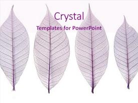 Skeleton Leaves PPT template 42 | CrystalGraphics