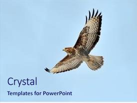 Premium Template for PowerPoint & Google Slides (lmlimhnn)