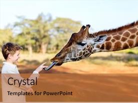 Spots Game Kids Brother And Sister Feeding PPT template 18 ...