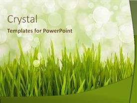 Spring Daisy Field Easter Card PPT template 98 | CrystalGraphics