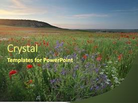 Spring Medoaw Of Flowers PPT template 34 | CrystalGraphics