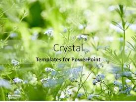 Spring Park With Different Plants PPT template 71 | CrystalGraphics