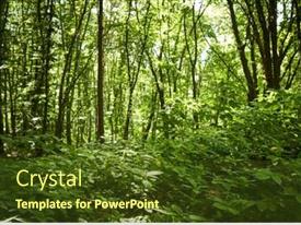 Summer Path In The Forest PPT template 84 | CrystalGraphics
