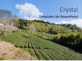 Tea Farm On The Valley PPT template 83 | CrystalGraphics