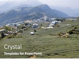 Tea Farm On The Valley PPT template 59 | CrystalGraphics