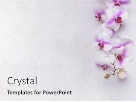 Premium Template for PowerPoint & Google Slides (ioppohjjun)