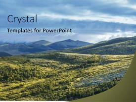 Premium Template for PowerPoint & Google Slides (jjphlpomuk)