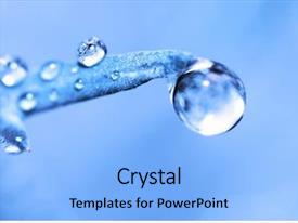 Water Droplets Shallow Dof Winter PPT template 98 | CrystalGraphics