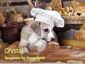 Whippet Puppy In Chef S PPT template 63 | CrystalGraphics