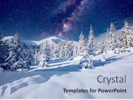 White Winter Spruces Under PPT template 99 | CrystalGraphics