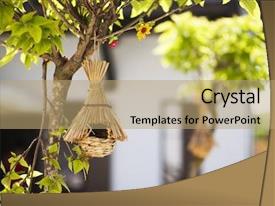 Wildcraft Bird Houses Hanging On Tree PPT template 8 | CrystalGraphics