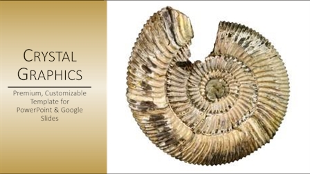 280 Best Sea Shell-Themed Templates for PowerPoint & Google Slides