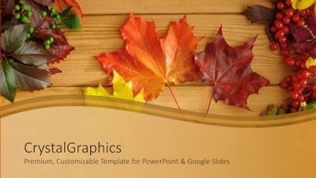 271 Best Fall Leaves-page-12-Themed Templates for PowerPoint & Google ...