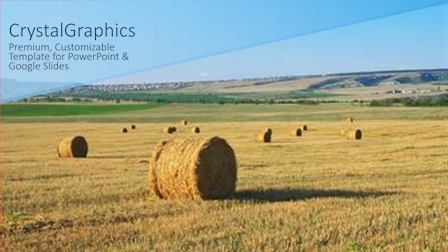 311 Best Straw-Themed Templates for PowerPoint & Google Slides