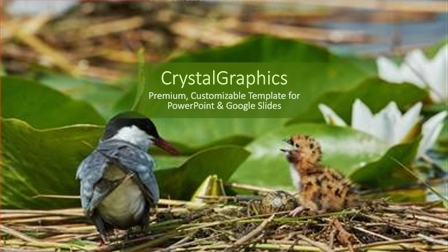 989 Best Couple-Themed Templates for PowerPoint & Google Slides