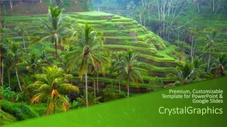 256 Best Rice Fields-page-2-Themed Templates for PowerPoint & Google Slides