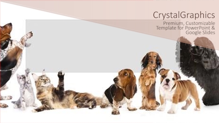 191 Best Cats-Themed Templates for PowerPoint & Google Slides