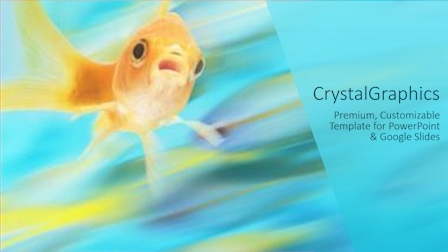 30 Best Mythology Gold Fish-Themed Templates for PowerPoint & Google Slides