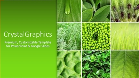 231 Best Green Color-page-8-Themed Templates for PowerPoint & Google Slides