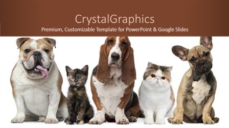 191 Best Cats-Themed Templates for PowerPoint & Google Slides