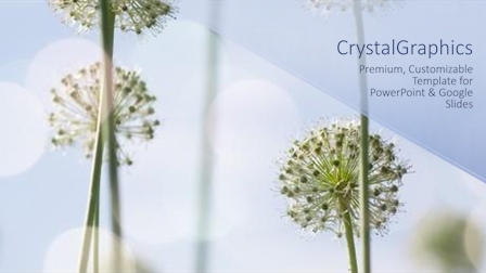 9 Best 3d Globe-Themed Templates for PowerPoint & Google Slides