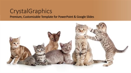 191 Best Cats-Themed Templates for PowerPoint & Google Slides