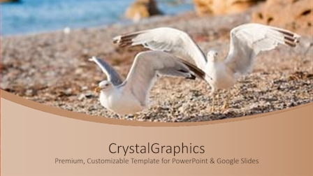 110 Best Marine Life-page-4-Themed Templates for PowerPoint & Google Slides